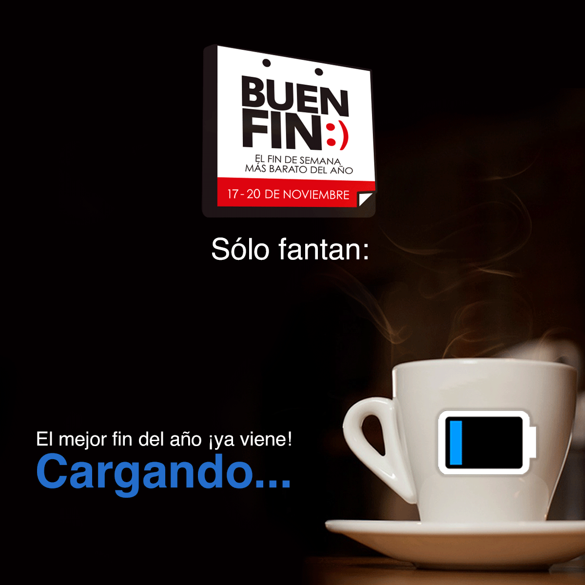BUEN FIN CAFÉ PUNTA DEL CIELO – Café Punta del Cielo
