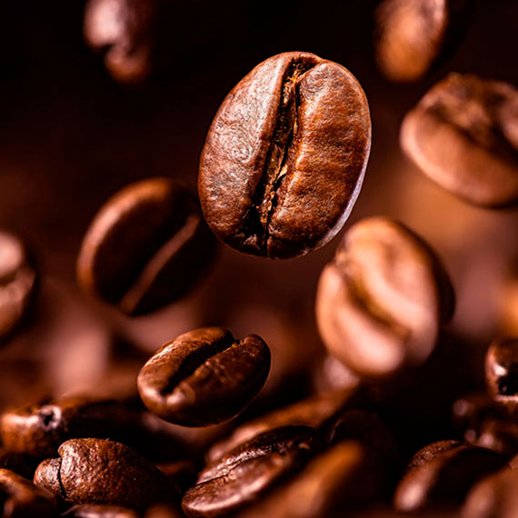 NOSOTROS – Café Punta del Cielo